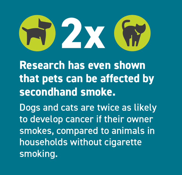 Secondhand smoke and secondhand aerosol